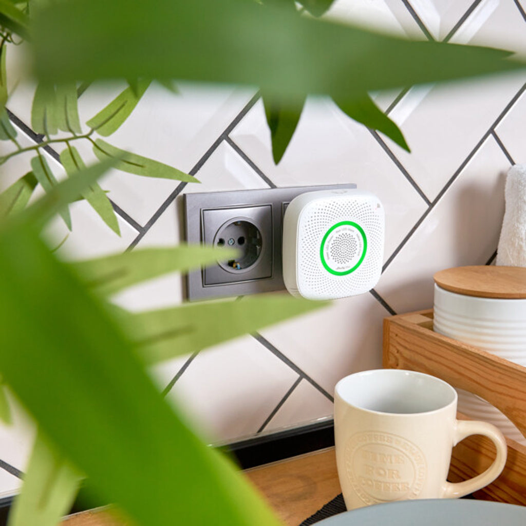 Shelly Motion 2 – Shellyparts.de